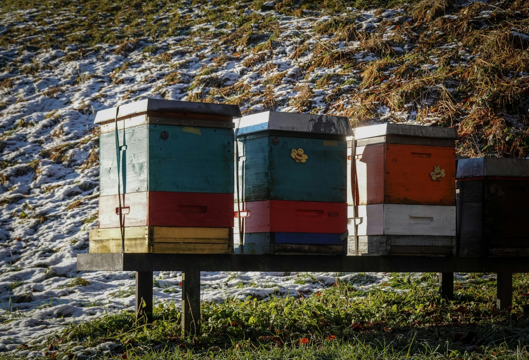 Bee Hive Plans: Build Your Own Backyard Apiary - hoarreport.com